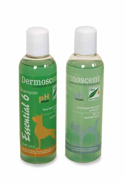 DERMOSCENT ESSENTIAL 6 Shampoo - DermaVet